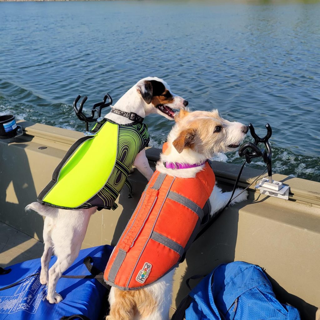 News and Events - Russell Rescue, Inc.