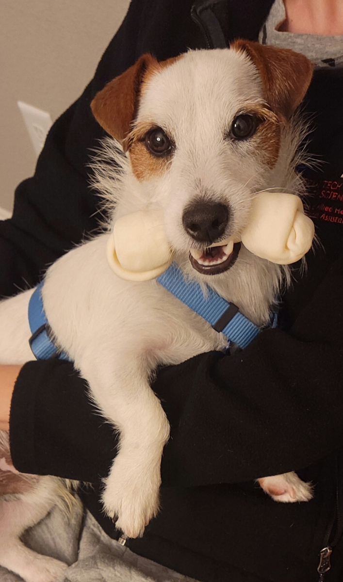 News and Events - Russell Rescue, Inc.