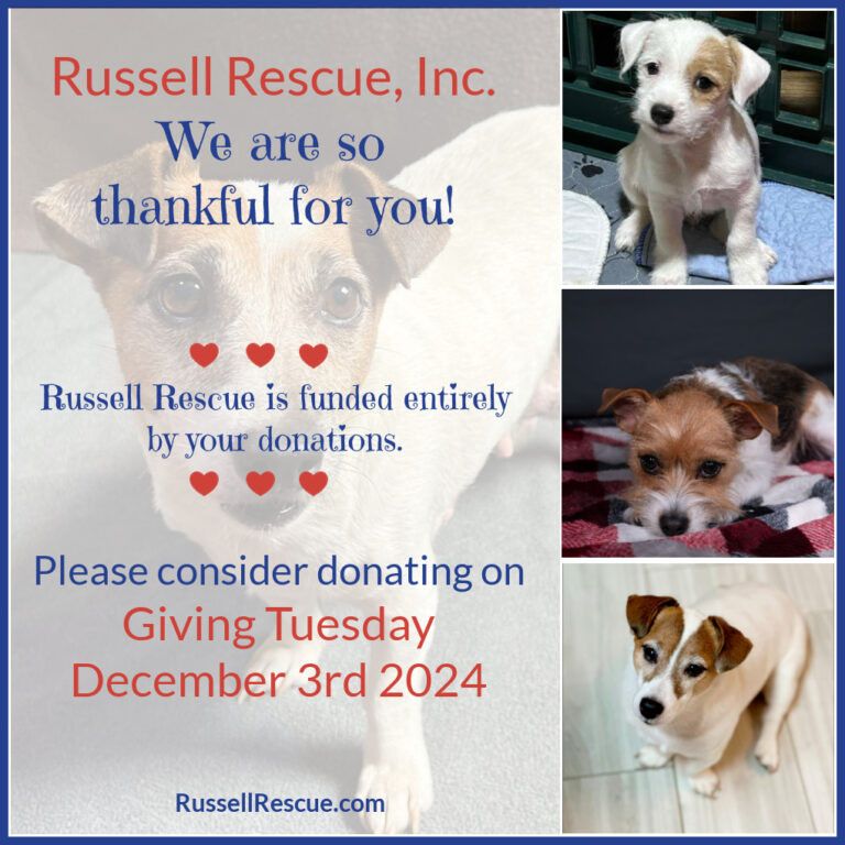 Event Archives - Russell Rescue, Inc.